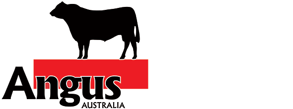 Angus Australia - Aberdeen-Angus Cattle Society