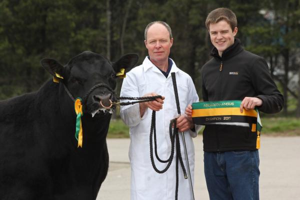 Dungannon Show and Sale - Aberdeen-Angus Cattle Society
