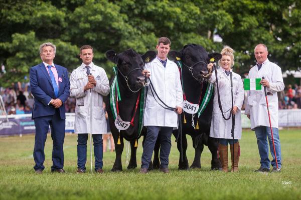 2018 Royal Welsh Show – full results - Aberdeen-Angus Cattle Society