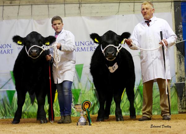 Aberdeen-Angus calves impress at 14th annual Northern Irish Calf Show ...