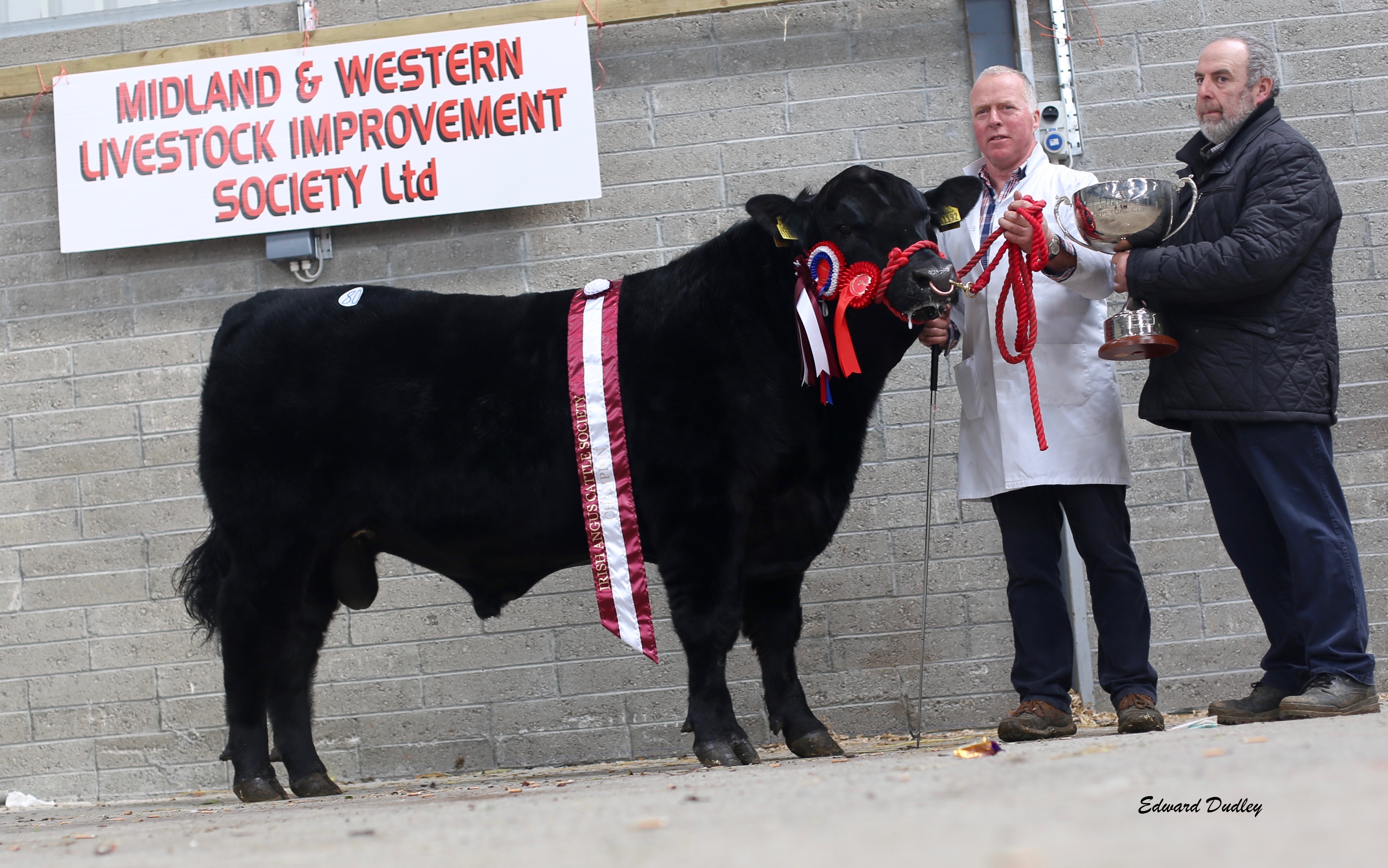 Aberdeen-Angus trade tops €4000 at Carrick-On-Shannon - Aberdeen-Angus ...