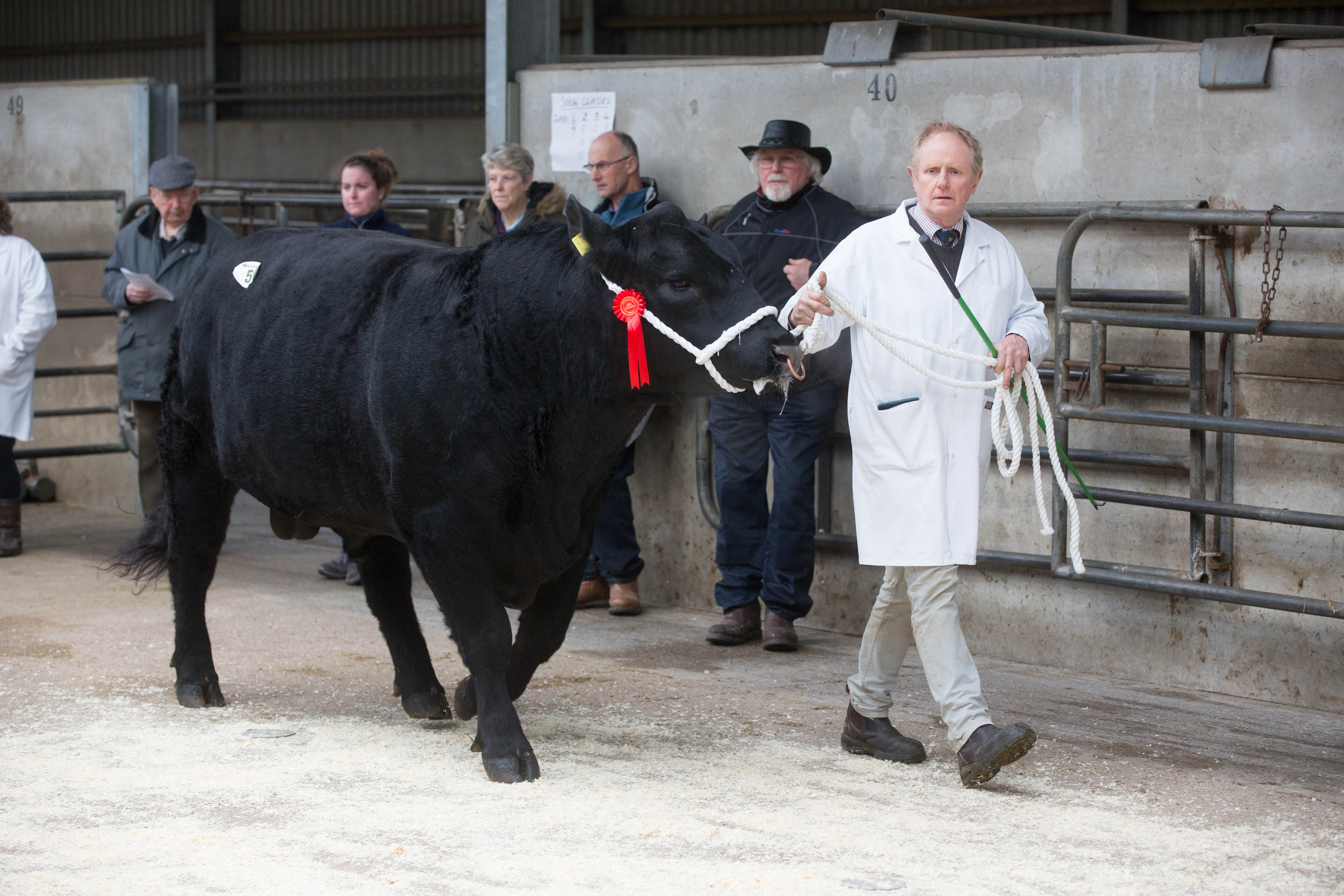 Worcester Show and Sale - Aberdeen-Angus Cattle Society