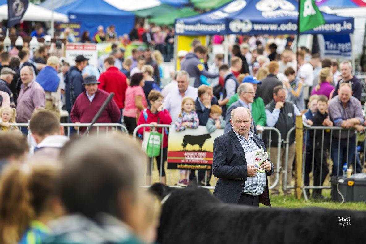 Angus Beef Ireland Championships at Tullamore Show - Aberdeen-Angus ...