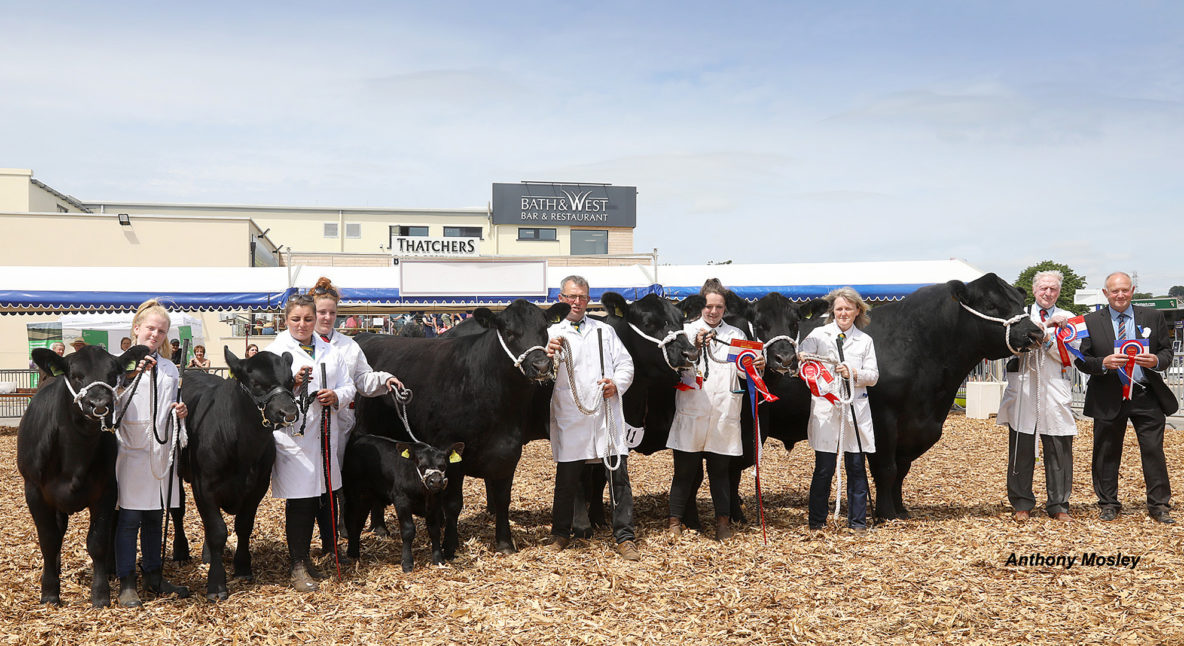 Royal Bath and West Show - Aberdeen-Angus Cattle Society