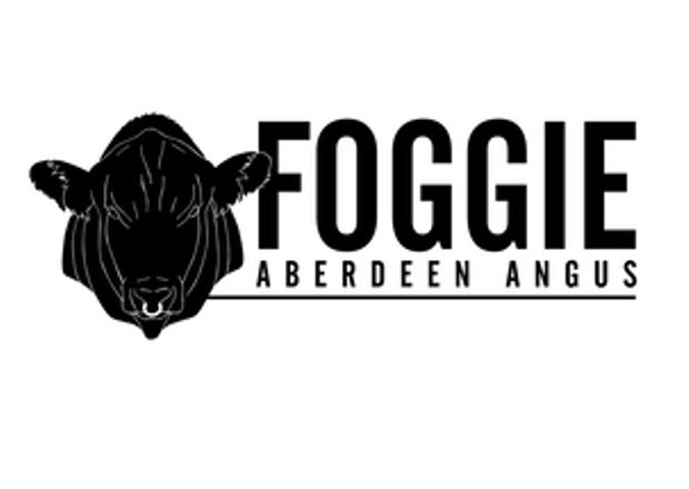 Bulls for sale: Foggie Aberdeen-Angus | Aberdeen-Angus Cattle Society