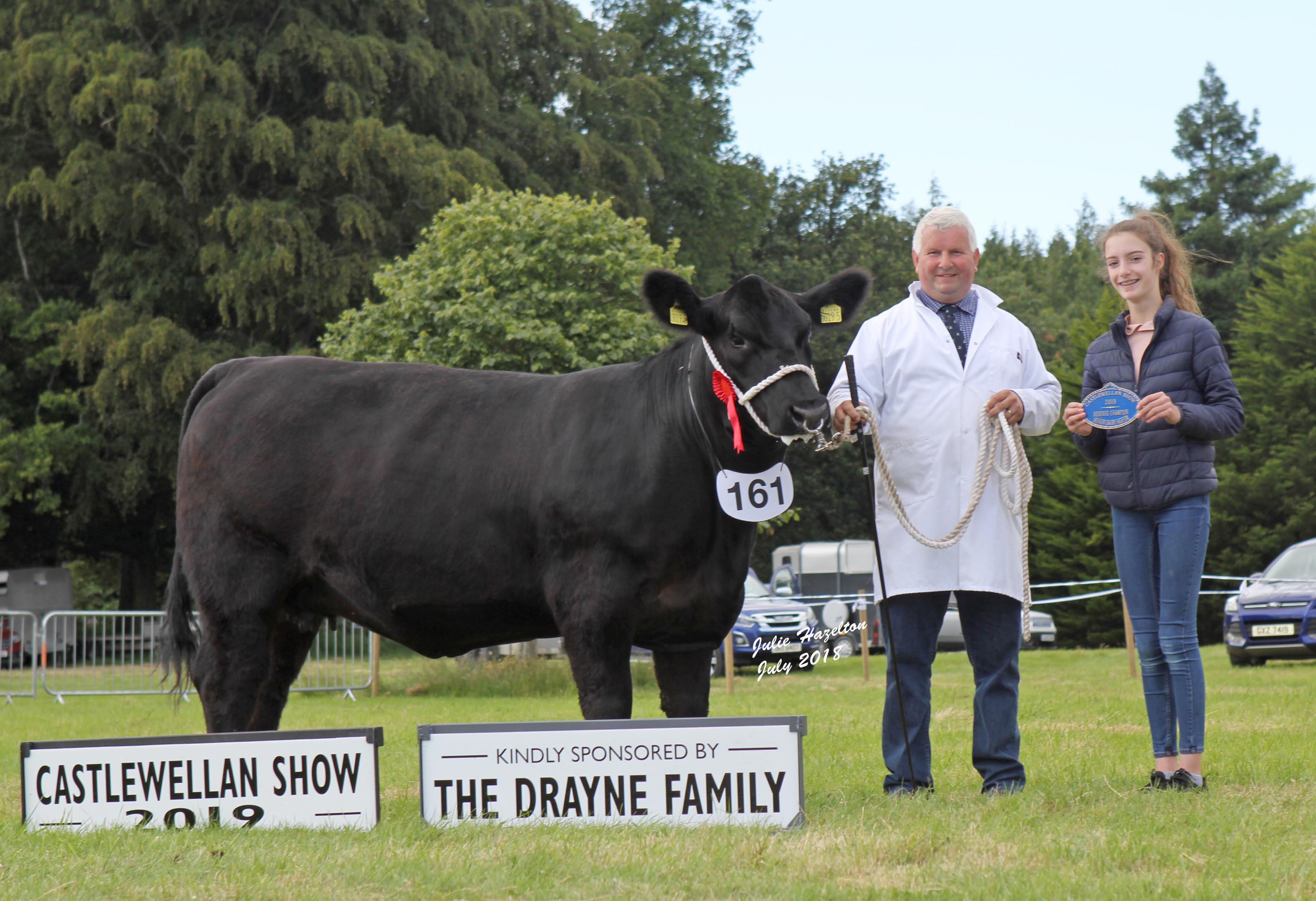 Brookhall claims Aberdeen-Angus and native breed honours at ...