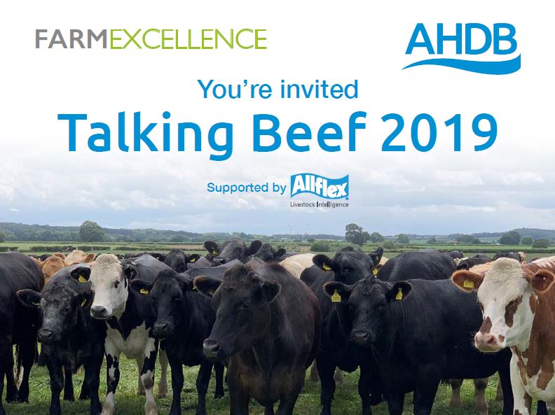 ‘Talking Beef’: an invitation from AHDB - Aberdeen-Angus Cattle Society