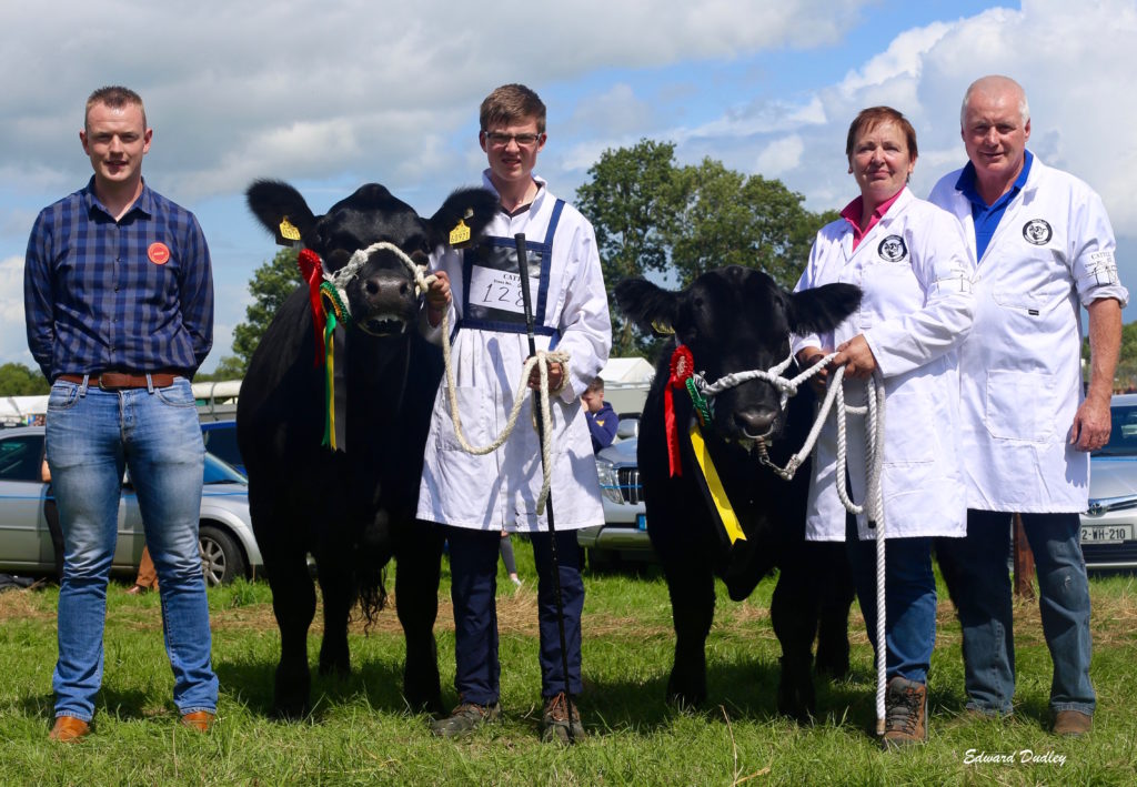 Munster Aberdeen-Angus Calf Finals come to a conclusion at Nenagh Show ...