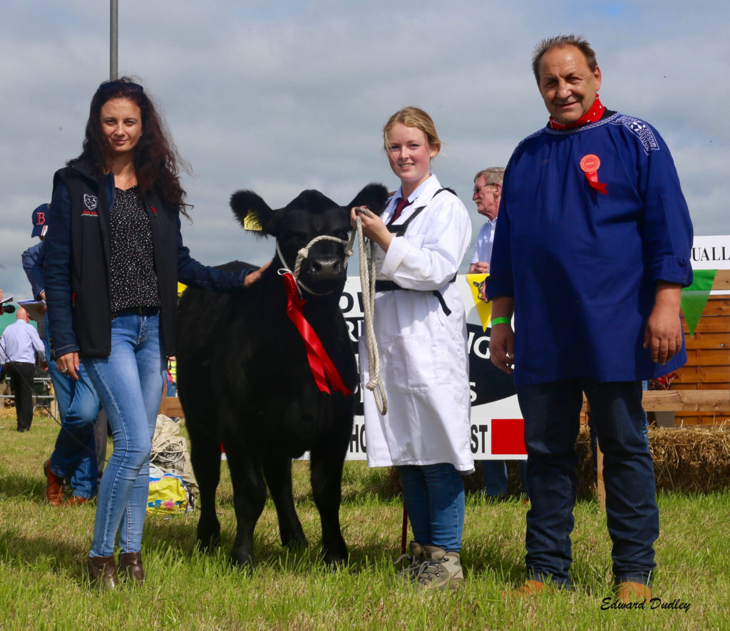 Liss Herd wins the All-Ireland Aberdeen-Angus Championship for 2019 ...