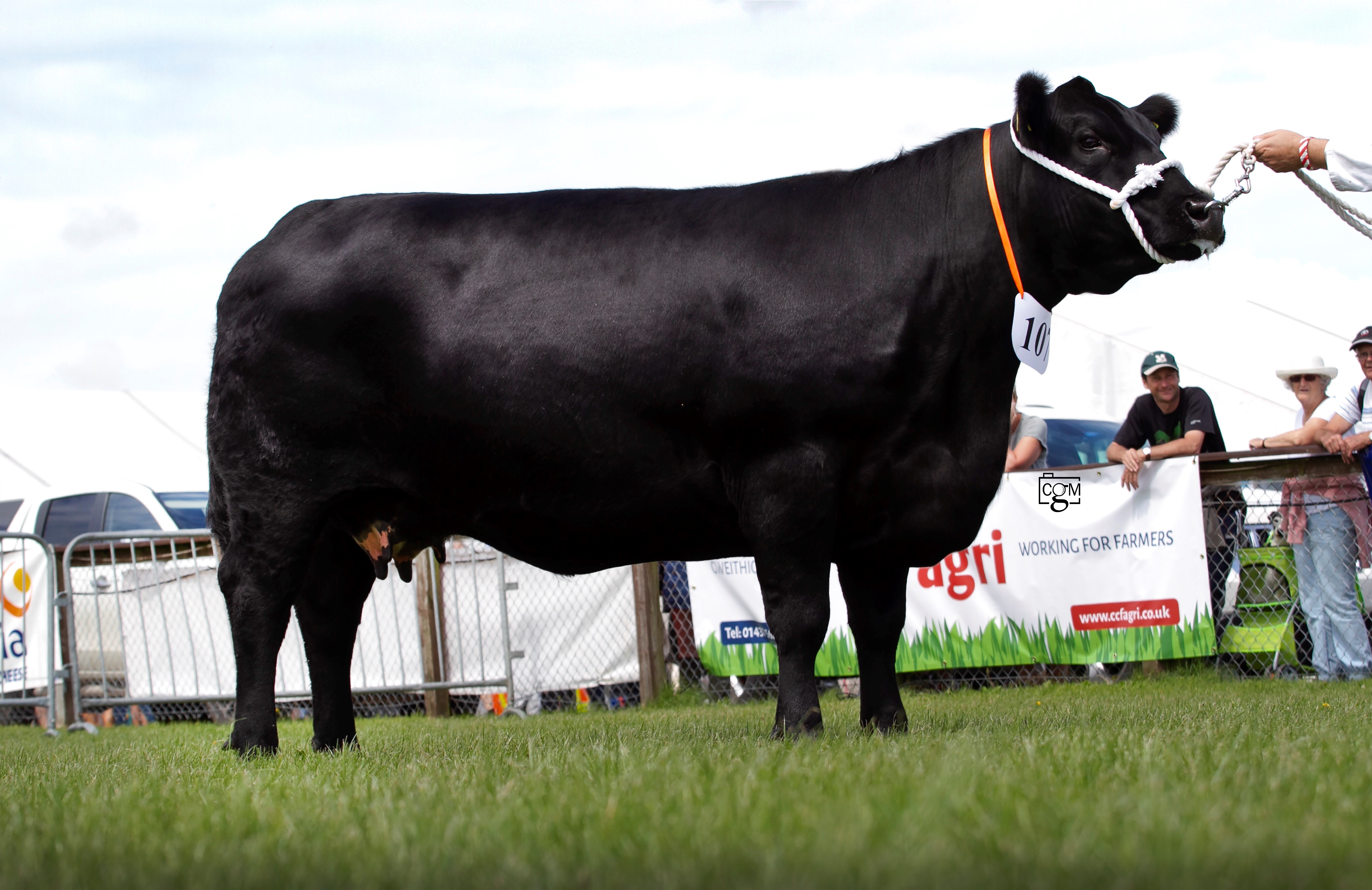 The Society’s first outing at the Pembrokeshire County Show - Aberdeen ...