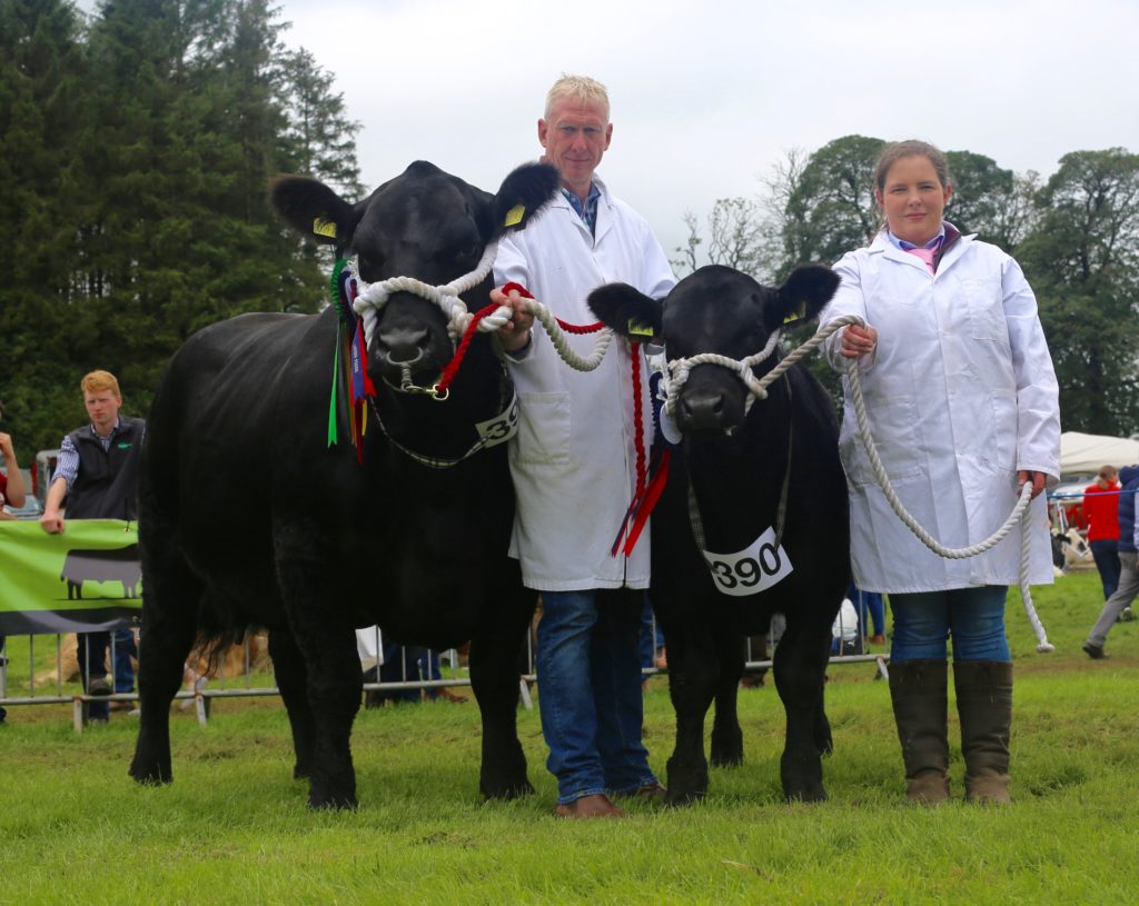 Northern Ireland Aberdeen-Angus Summer Championships take place at ...