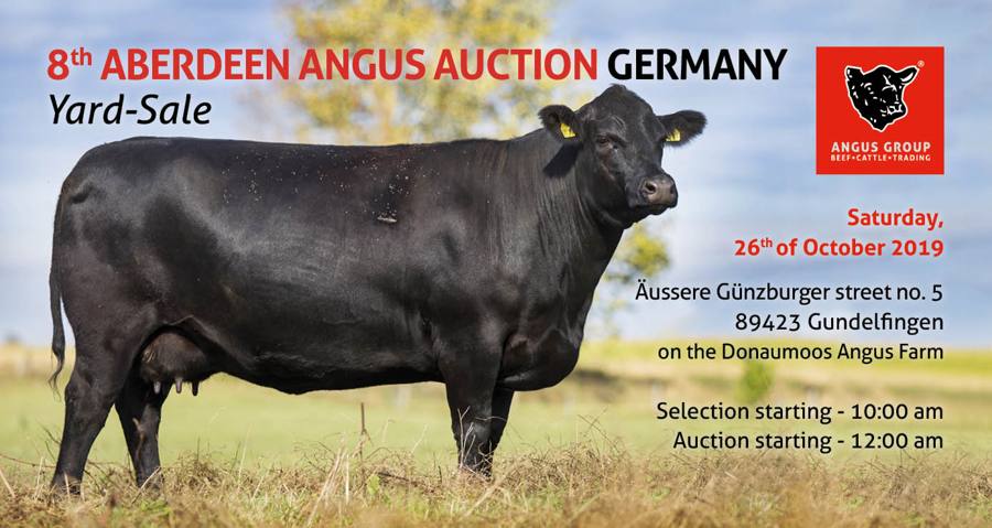 Germany Yard Sale - Aberdeen-Angus Cattle Society