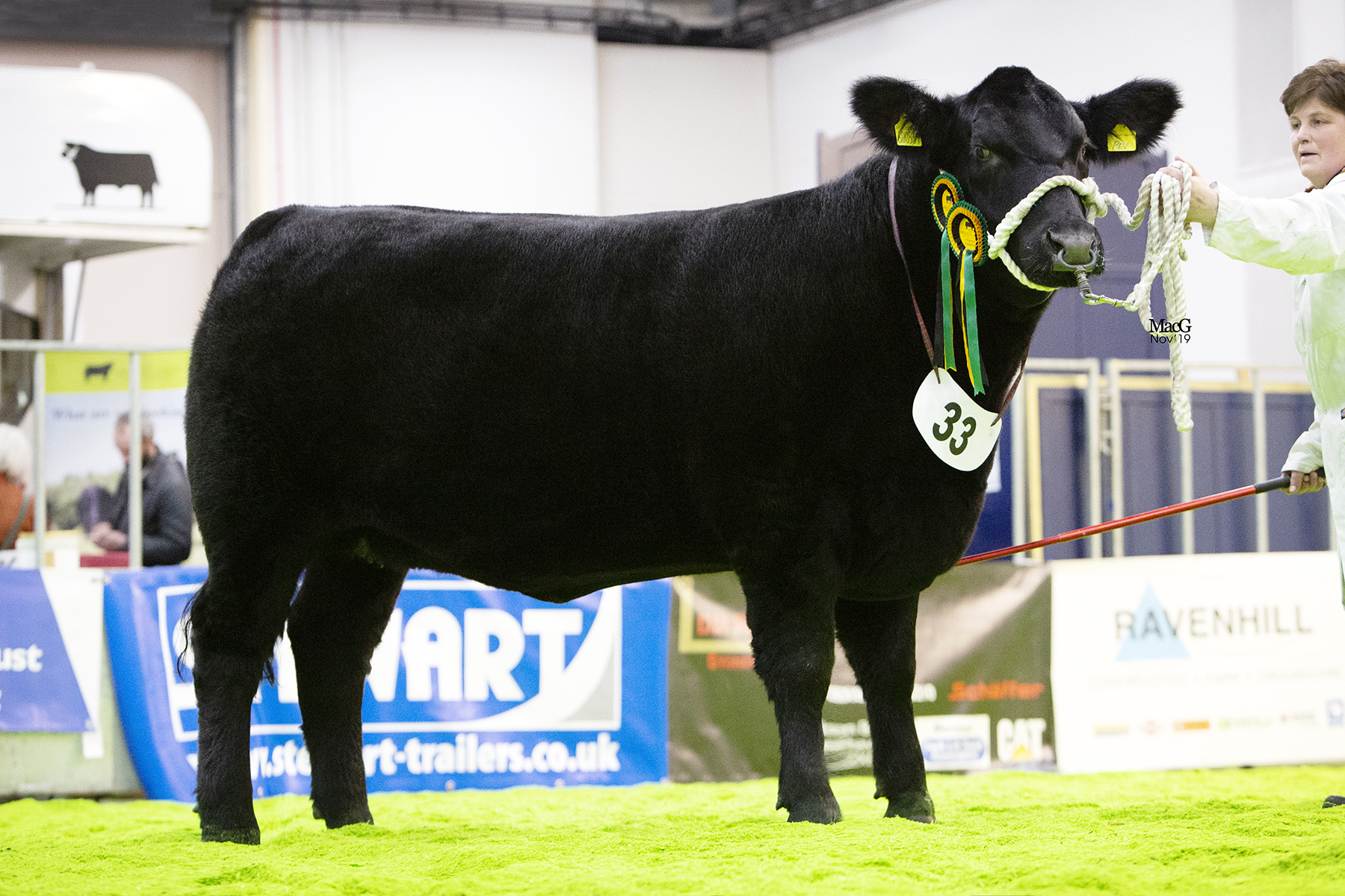 Fulsome praise for Aberdeen-Angus at the 2019 Black Beauty Bonanza ...
