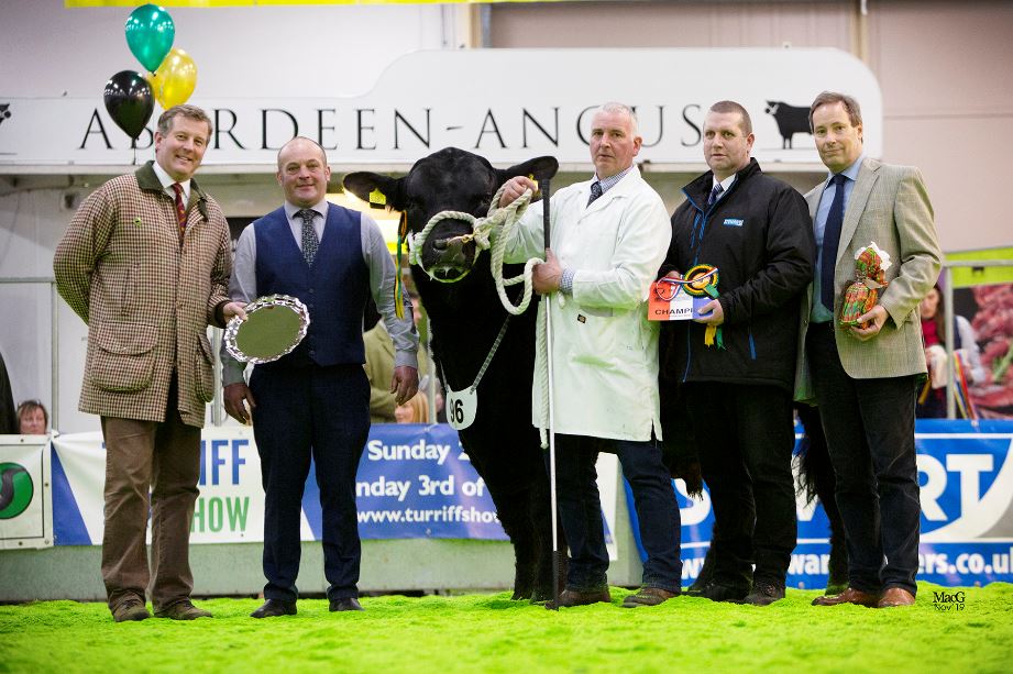 Fulsome praise for Aberdeen-Angus at the 2019 Black Beauty Bonanza ...