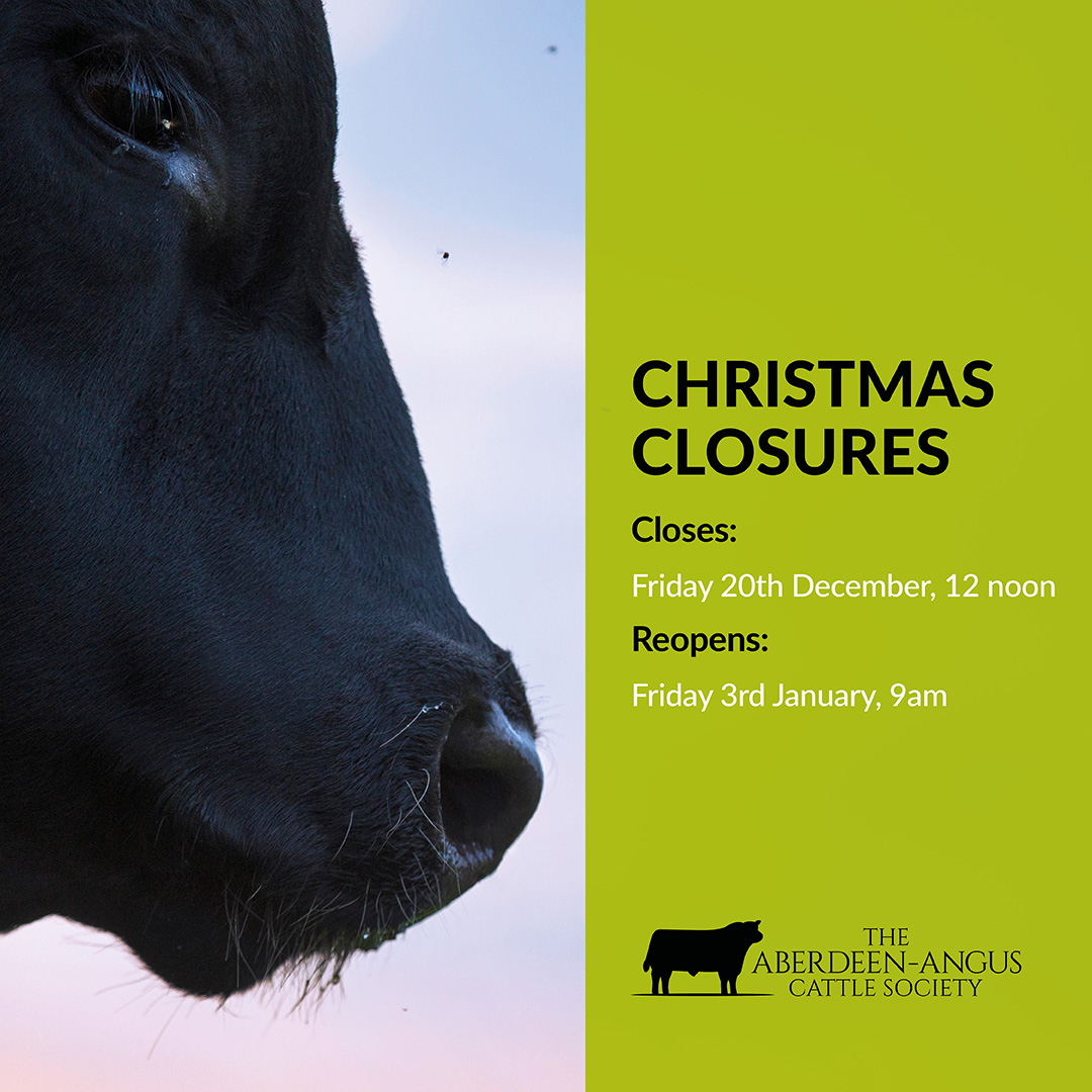 Office Christmas Closure | Aberdeen-Angus Cattle Society