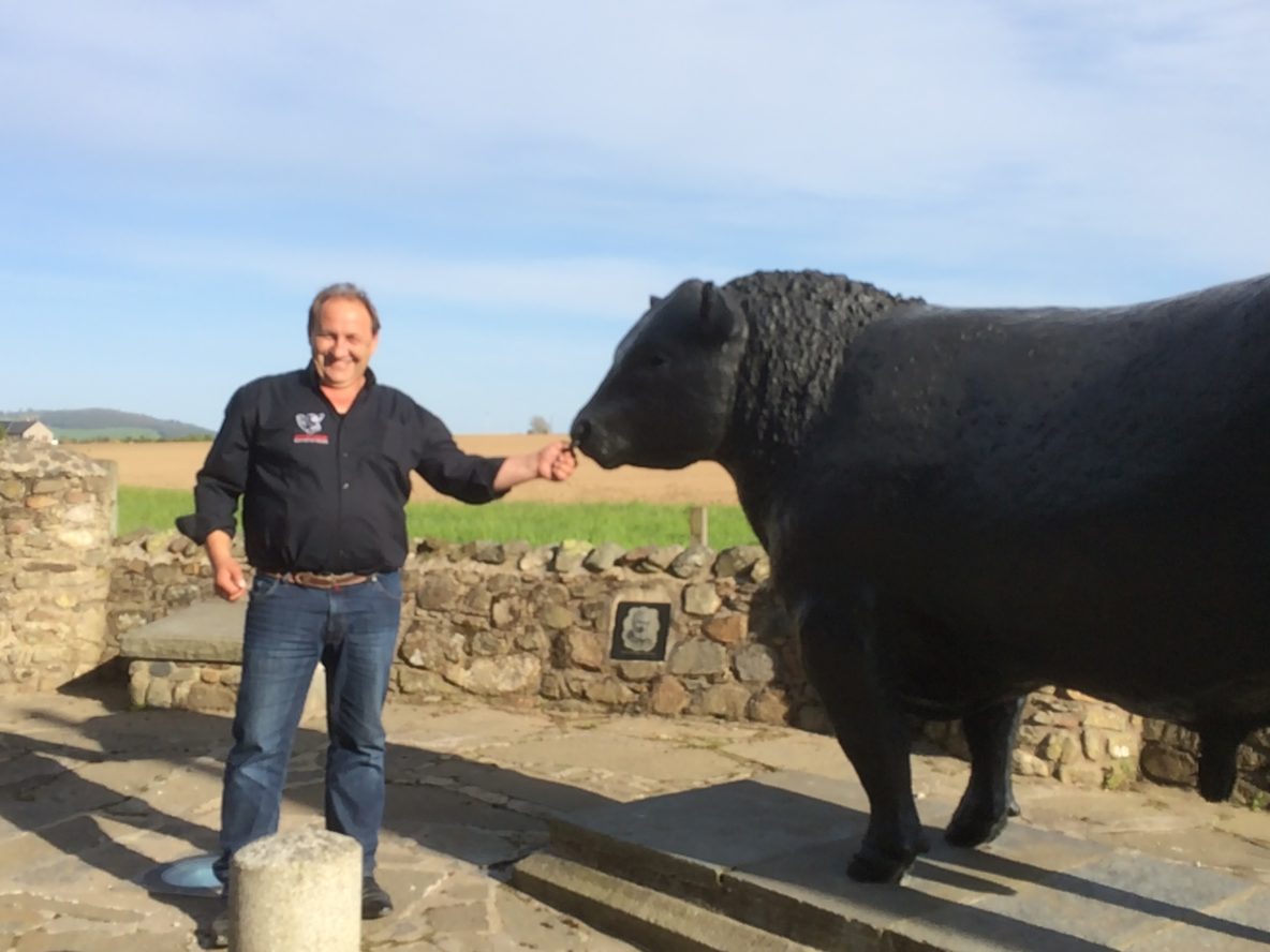 British-origin Donaumoos Jeff Eric P869 is Europrean Angus Champion ...