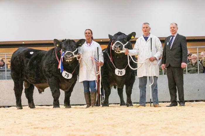 Royal Northern Spring Show 2020 Results - Aberdeen-Angus Cattle Society