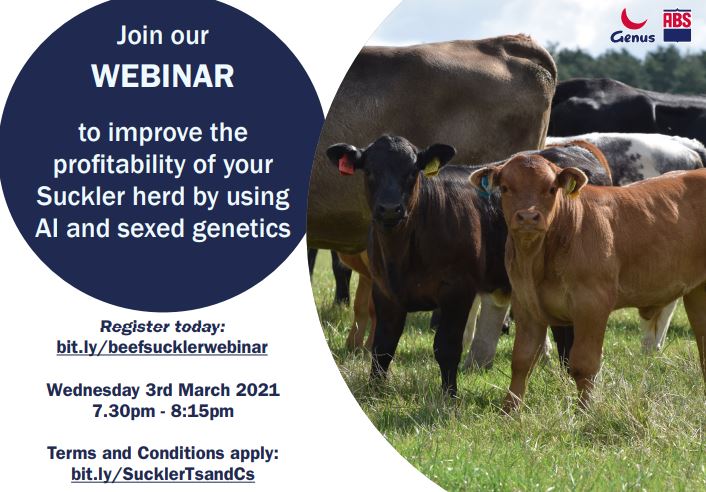 Genus ABS – Beef Webinar – Wednesday 3rd March 2021 - Aberdeen-Angus ...