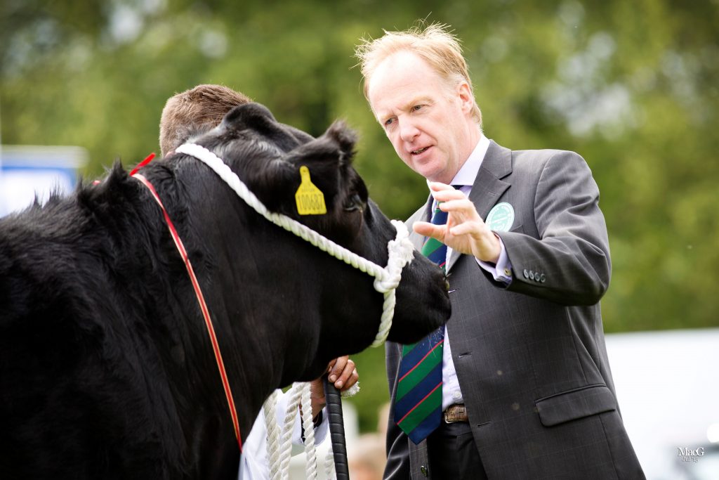 Home - Aberdeen-Angus Cattle Society