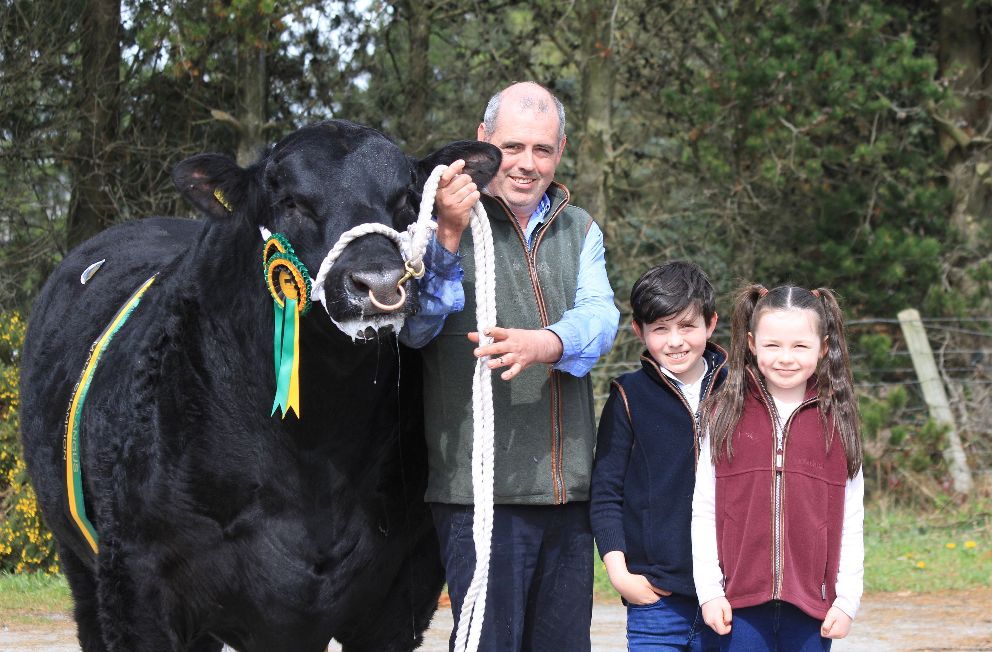 Drumhill leads Aberdeen Angus trade at 5,100gns and 5,000gns - Aberdeen ...