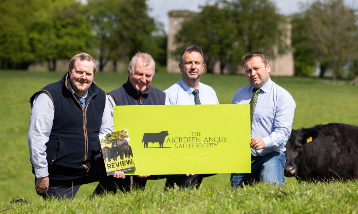 Aberdeen-Angus Northern Ireland Summer Championship boasts prize fund ...