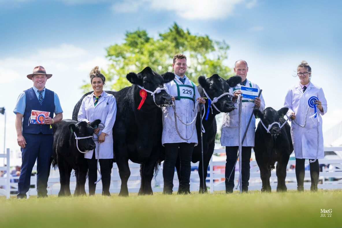 Tonley Lady Heather lands supreme Great Yorkshire Show title - Aberdeen ...