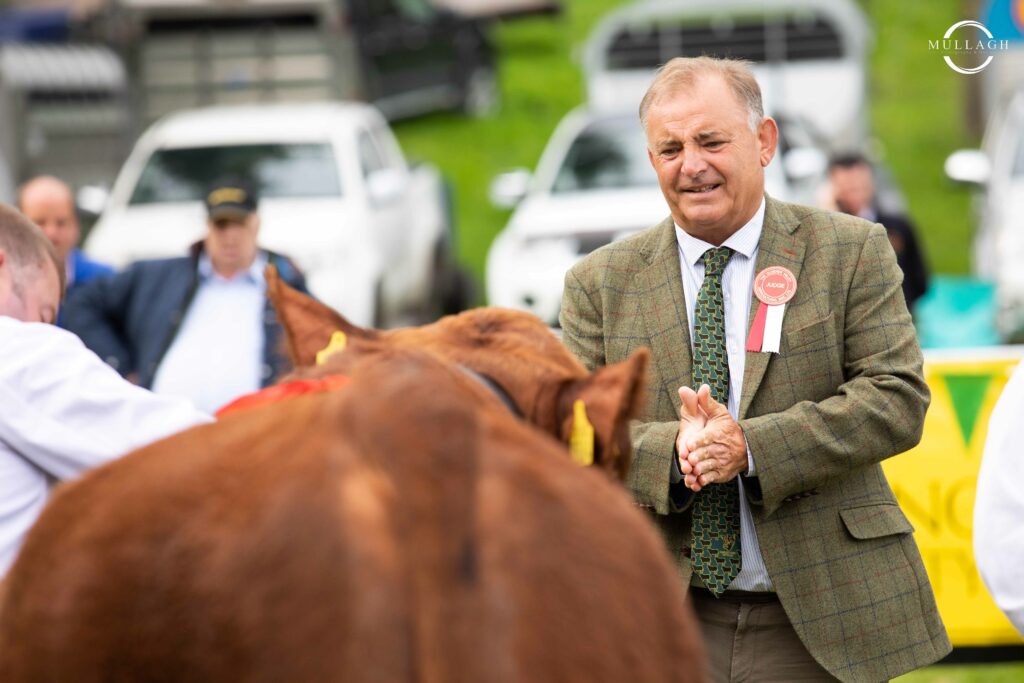 ‘Exceptional’ red bull claims honours at Aberdeen-Angus Northern ...
