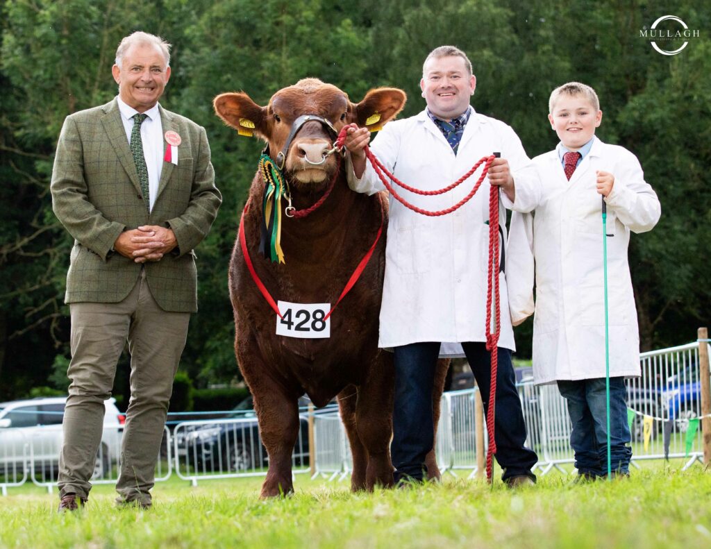 ‘Exceptional’ red bull claims honours at Aberdeen-Angus Northern ...