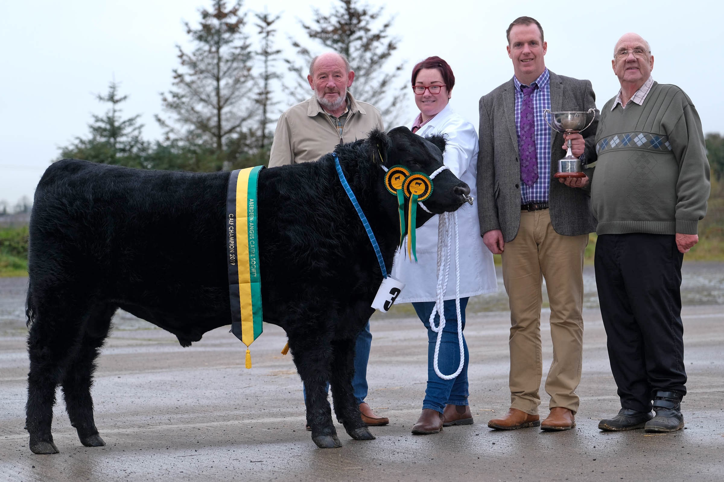 Dungannon venue for Northern Ireland Aberdeen-Angus calf show on 5th ...