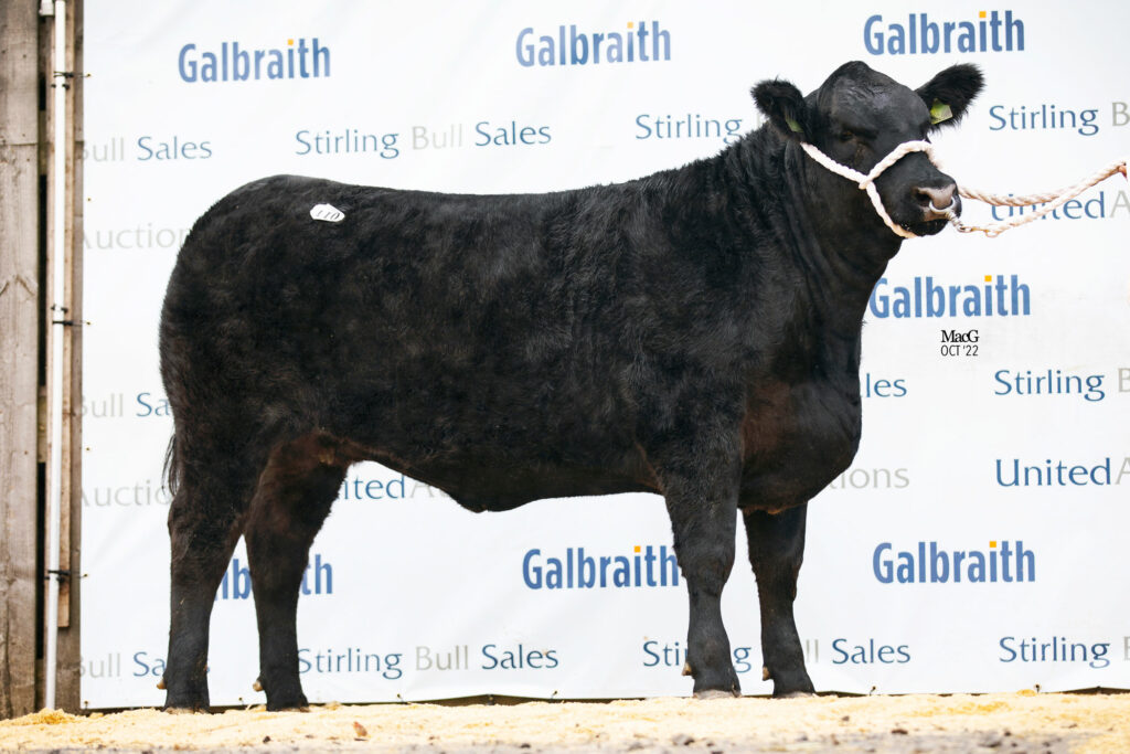 Show and Sales News - Aberdeen-Angus Cattle Society