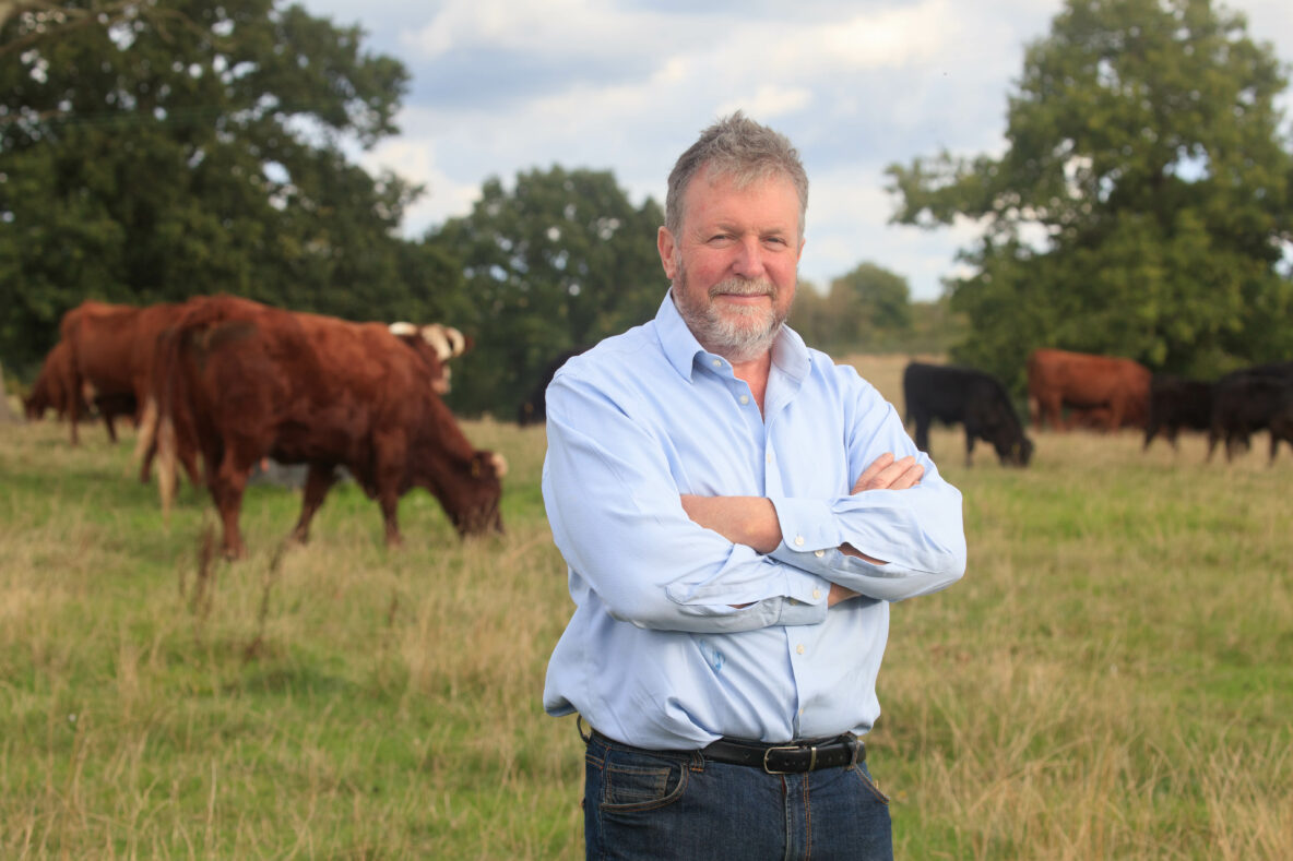 Selecting the right beef genetics to help reduce input costs | Aberdeen ...