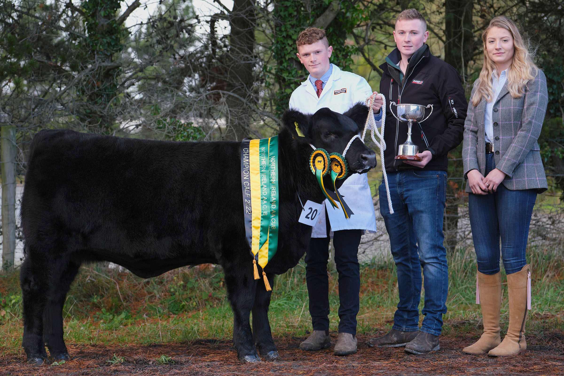 Northern Ireland Calf Show Results - Aberdeen-Angus Cattle Society