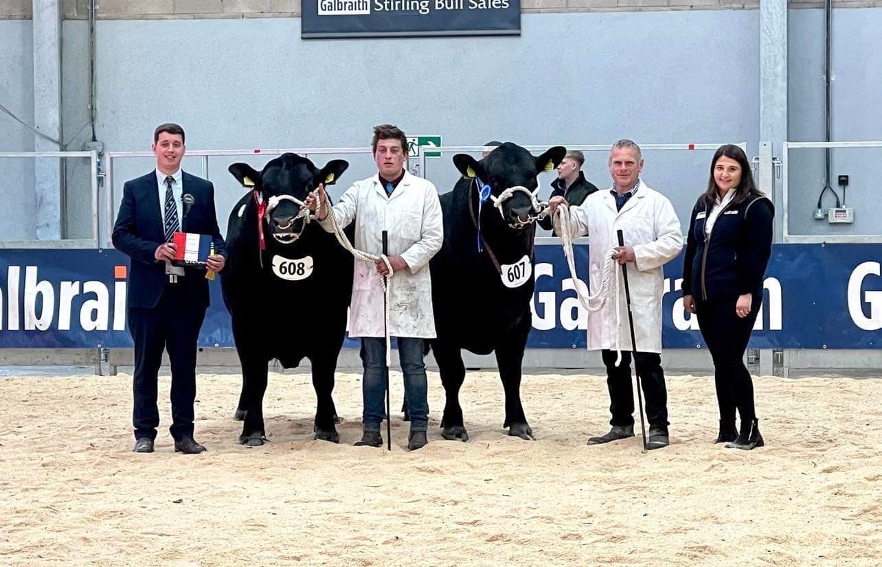 Latest News and Features - Aberdeen-Angus Cattle Society