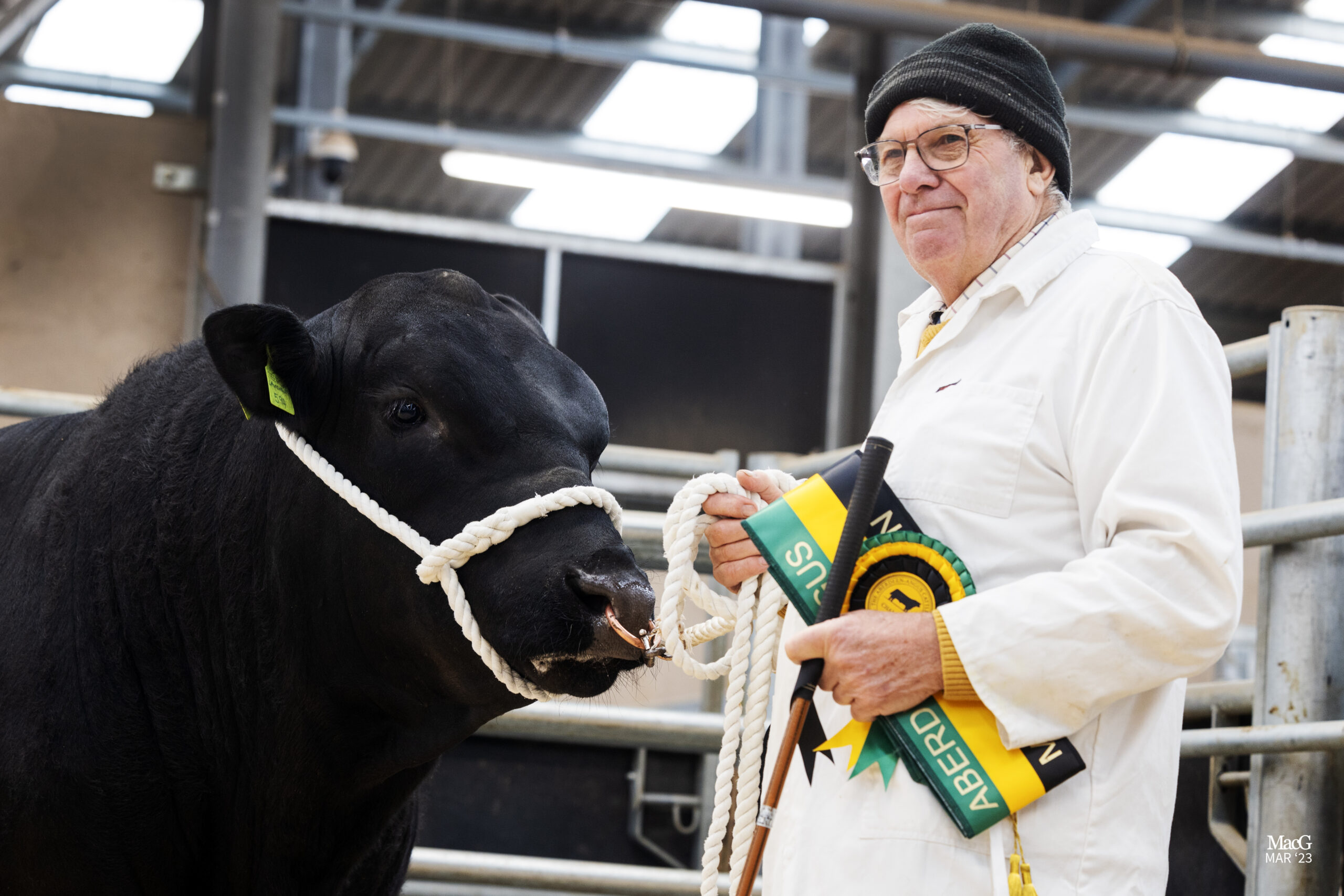 Sale report from Melton Mowbray - Aberdeen-Angus Cattle Society