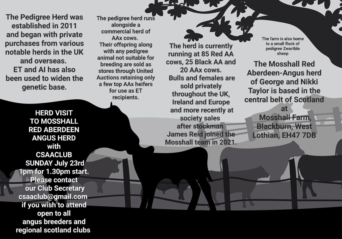 Central Scotland Aberdeen-Angus Club open day | Aberdeen-Angus Cattle ...