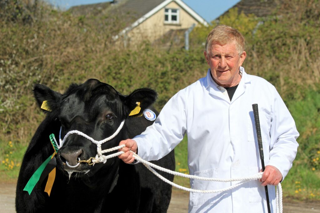 Dungannon Sale Report | Aberdeen-Angus Cattle Society