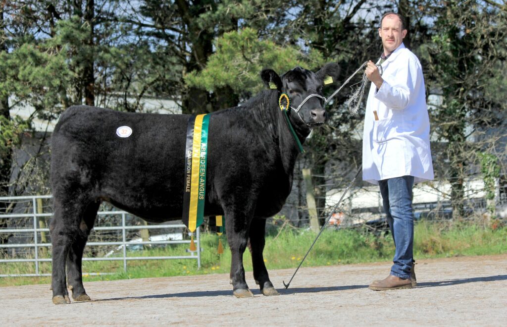 Dungannon Sale Report - Aberdeen-Angus Cattle Society