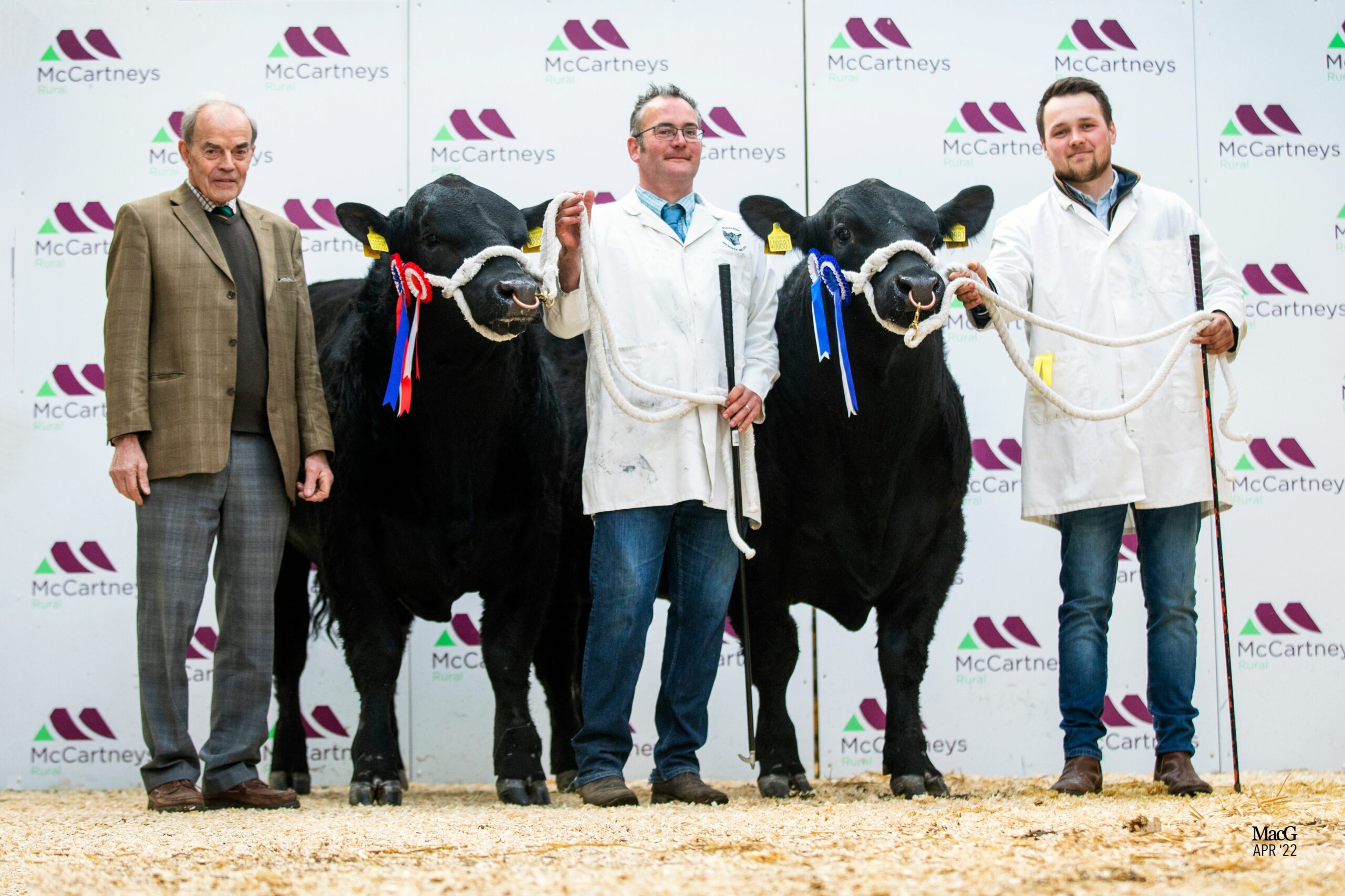 Worcester Sale Report - Aberdeen-Angus Cattle Society