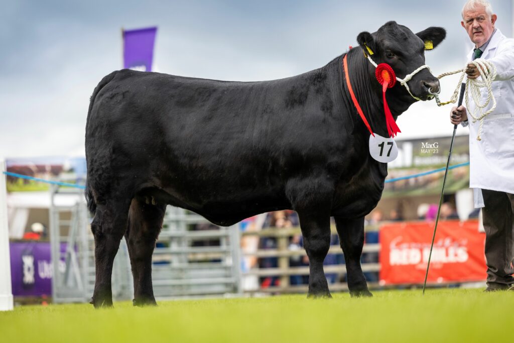 Balmoral Report - Aberdeen-Angus Cattle Society
