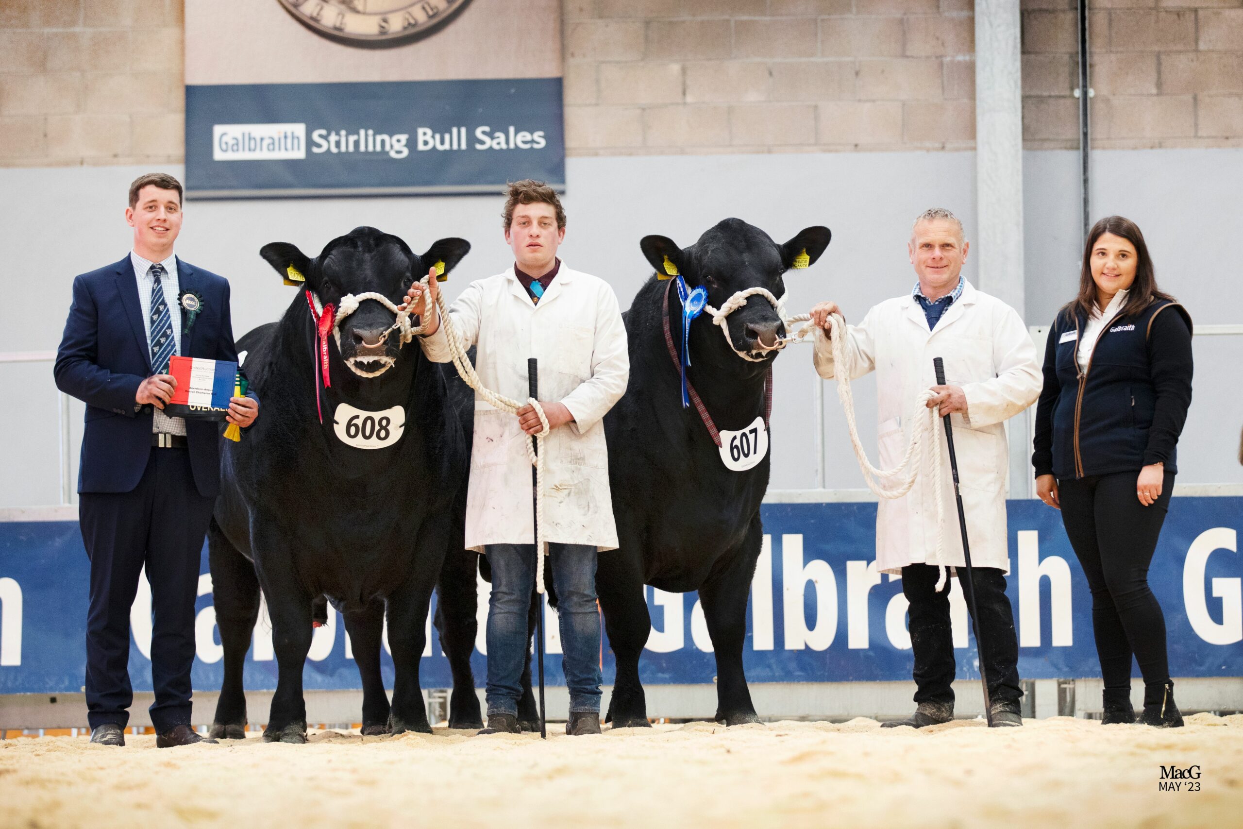 May Sale Report – United Auctions Stirling Bull Sales - Aberdeen-Angus ...