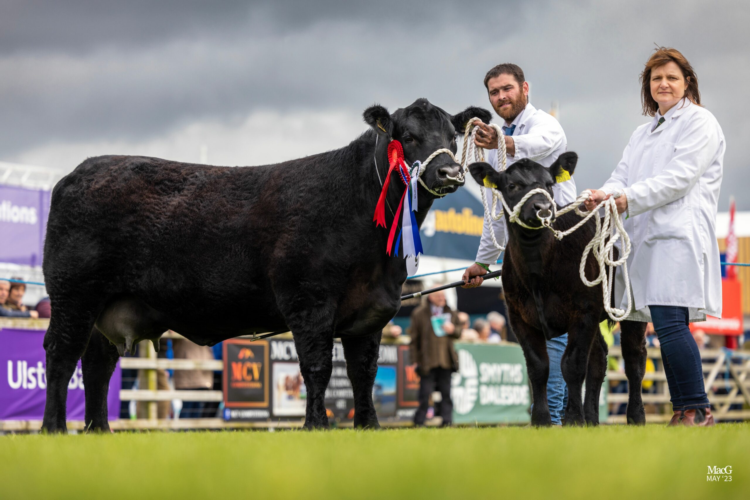 Balmoral Report - Aberdeen-Angus Cattle Society
