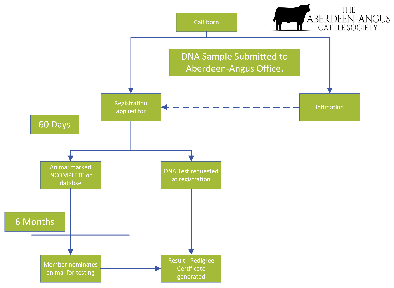 Registrations and DNA Testing - Aberdeen-Angus Cattle Society