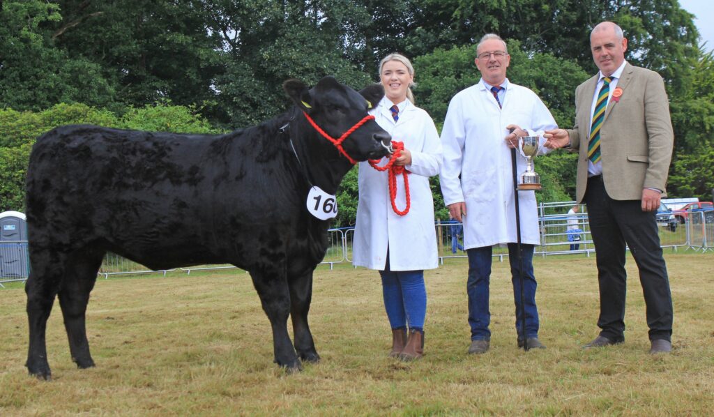 Glenbrae Herd scoops Ulster Championship at Castlewellan - Aberdeen ...