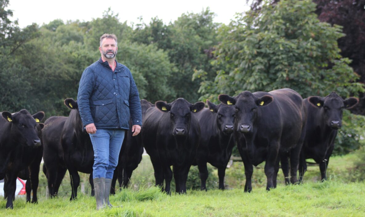 ‘What an Angus Can Do At Grass’ NI Club Open Day Focus - Aberdeen-Angus ...