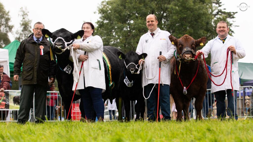 Coolermoney cow wins NI Aberdeen Angus Championship - Aberdeen-Angus ...