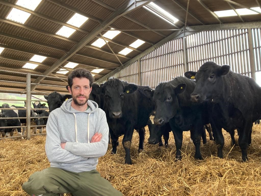 Ian and Andrew Farrant use Aberdeen-Angus advantage for dairy-beef ...