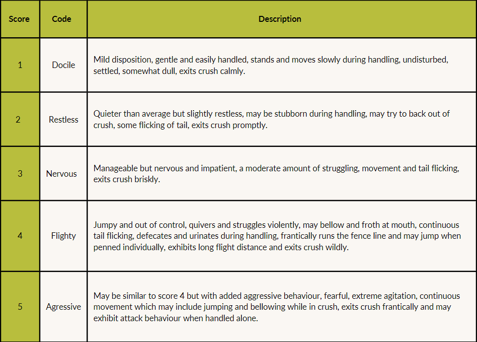 Aberdeen-Angus Docility - Aberdeen-Angus Cattle Society