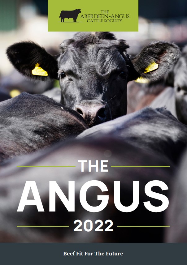 The Angus - Aberdeen-Angus Cattle Society