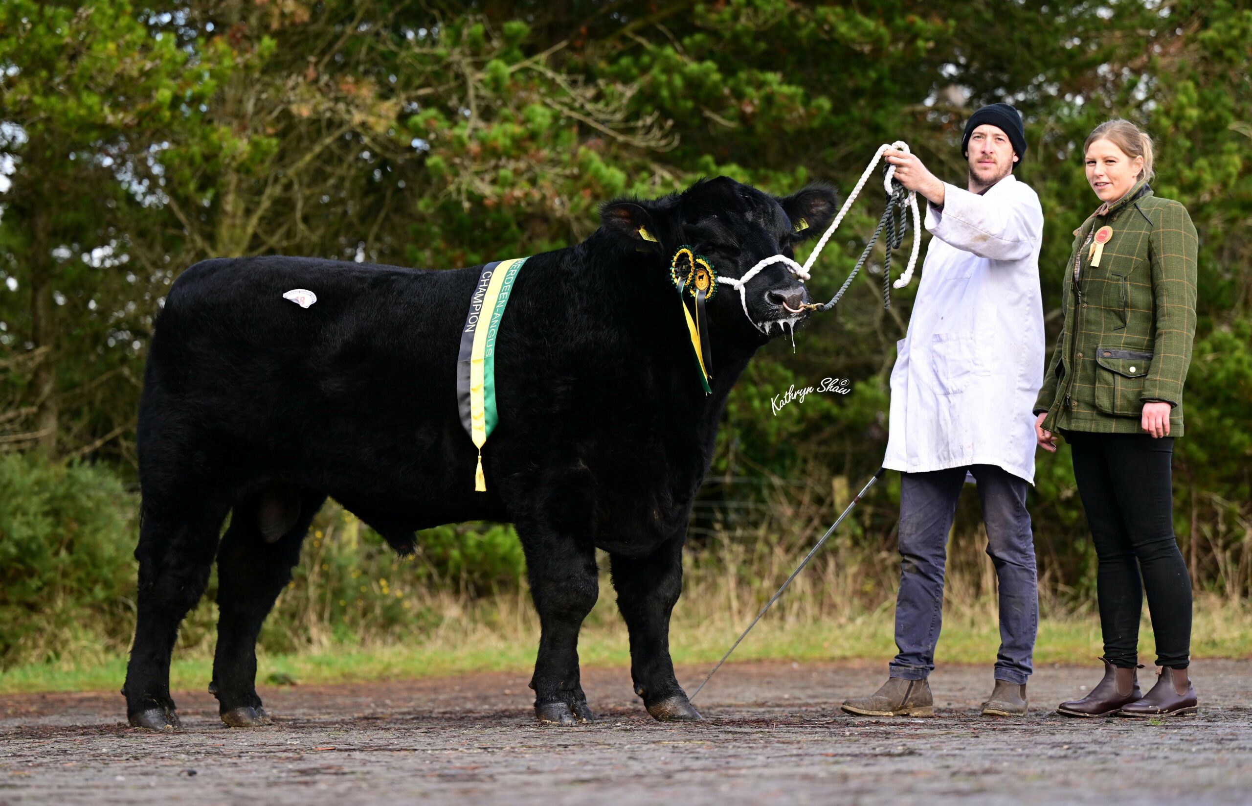 Latest News and Features - Aberdeen-Angus Cattle Society