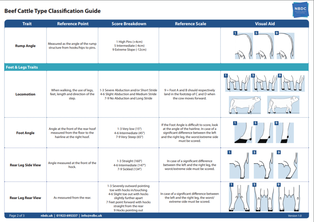 Aberdeen-Angus Linear Assessment - Aberdeen-Angus Cattle Society